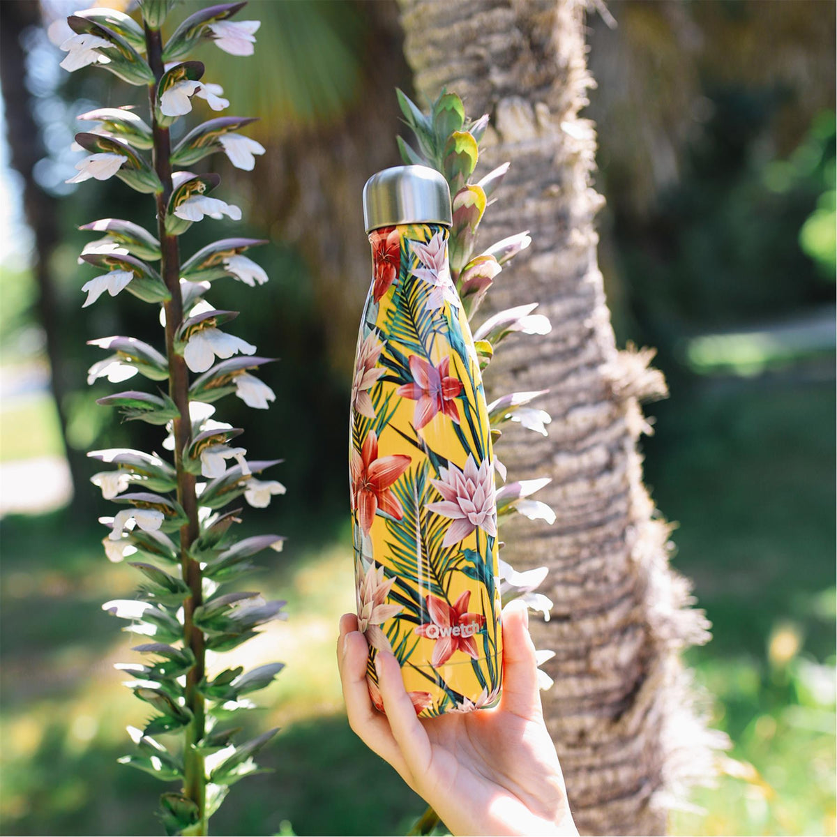 Reusable Water Bottles & Sustainable Straws from All-Green with Free ...